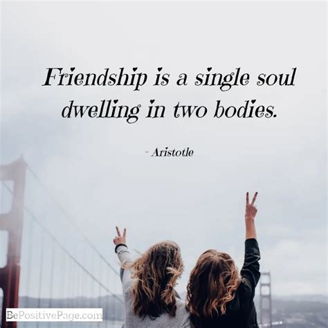 68 Powerful Aristotle Quotes On Love Life And Education