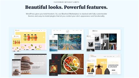 Bluehost Web Hosting Review Toms Guide