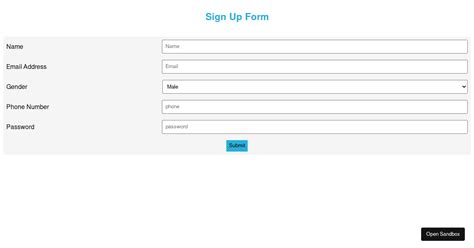 Signup Form React Codesandbox
