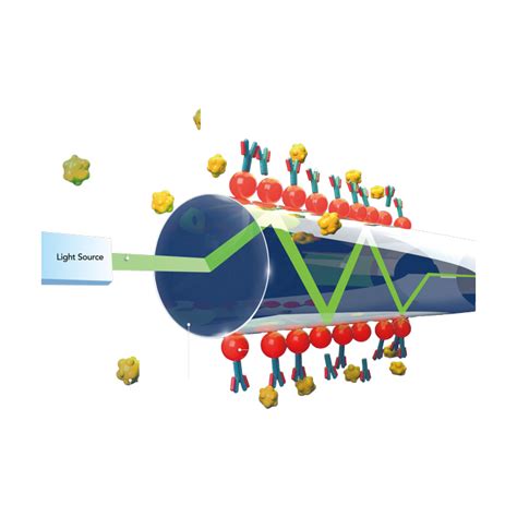 Medical Onex Biomarker Analyzer Instant Nanobiosensors Co Ltd