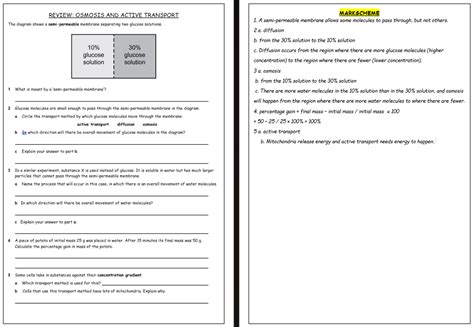 Diffusion Osmosis And Active Transport GCSE Biology Teaching Resources