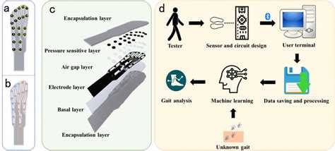 Smart Insole Design And System Frame Diagram A Distribution Diagram