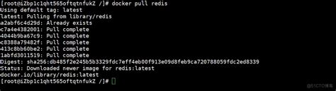 Docker运行redis镜像 阿里云开发者社区