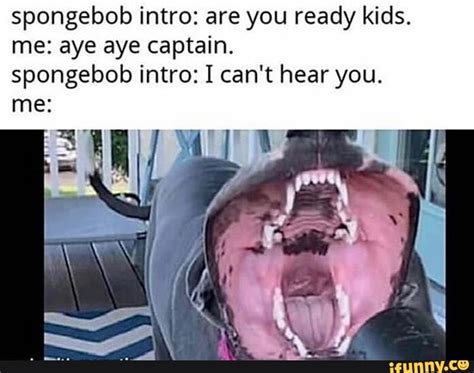 Aye Aye Captain Spongebob