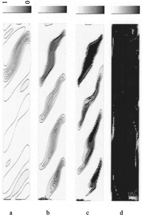 ͑ A ͒ Order Parameter Field At T ϭ 08 Su ͑ B ͒ Order Parameter Field Download Scientific