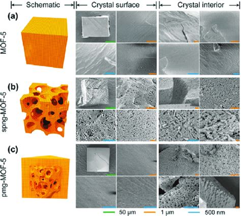 Schematics And Sem Images Showing The Surface And Internal Pore