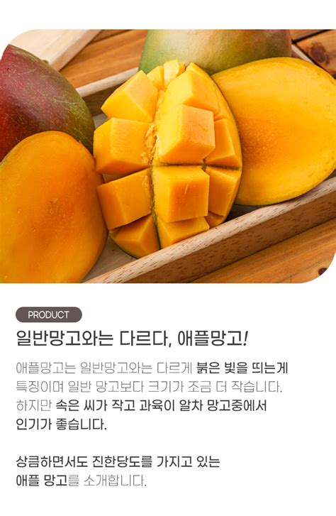 달콤한 프리미엄 애플망고