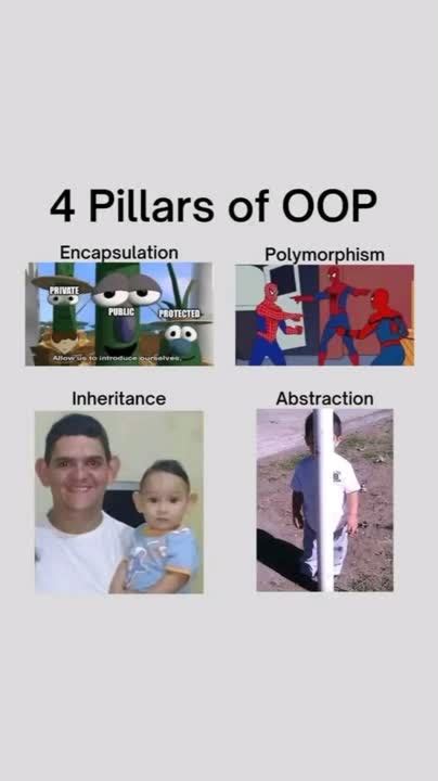 Pritiranjan Patra On Linkedin Oop Programmingconcepts Softwaredevelopment