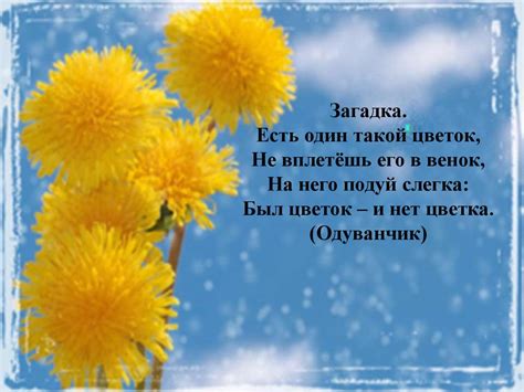 «Одуванчик презентация онлайн