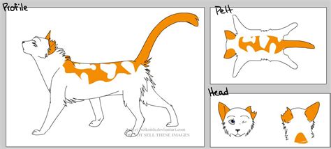 Brightheart Warrior Cat Rp Wiki Fandom Powered By Wikia