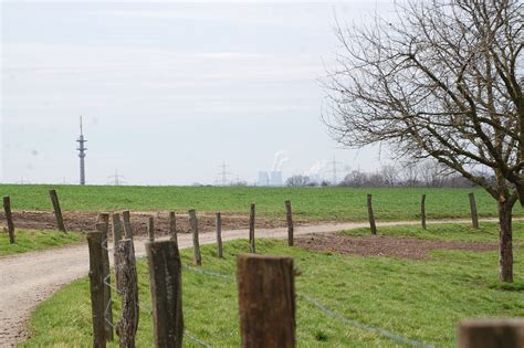 картинки пейзаж дерево трава забор Дорога след поле ферма луг прерия холм ветер