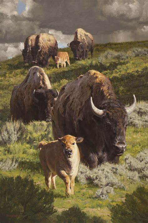 120 Bison Paintings Ideas Wildlife Art Bison Bison Art