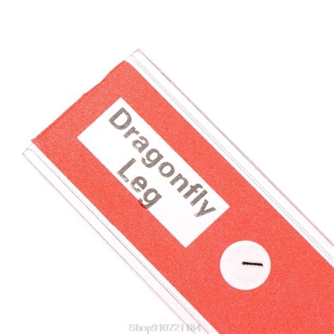 12 Pcs Prepared Microscope Slides Set Specimen For Grandado