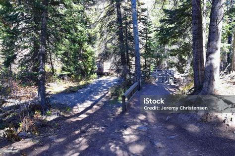 리틀 코튼우드 캐년 와사치 록키 산맥 유타 미국의 화이트 볼디와 파이퍼혼 하이킹 트레일을 향한 레드 파인 레이크 트레일 산악 경관 0명에 대한 스톡 사진 및 기타 이미지