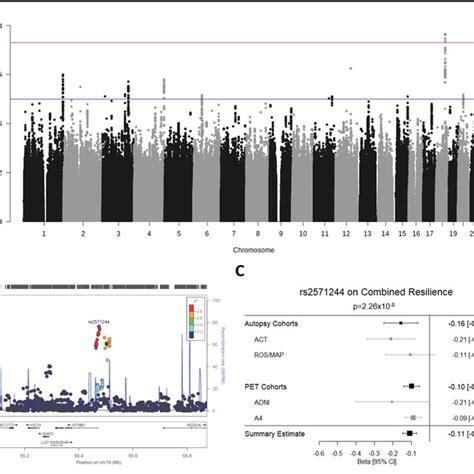 Variant Level Resilience Gwas Results A Results From The Gwas Download Scientific Diagram