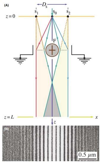 1 A Fresnel Biprism Used For Beam Overlapping B Resulting Set Of Download Scientific