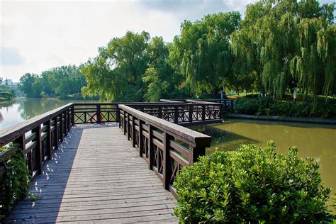 现代小桥图片 小桥图片卡通图片 第8页 大山谷图库