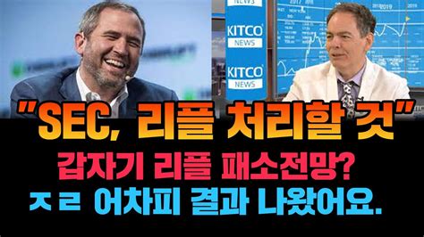 Sec 리플 처리할 것갑자기 리플 패소전망ㅈㄹ 어차피 결과 나왔어요 리플 리플전망 리플코인 리플대응 리플수익 리플급등 Youtube