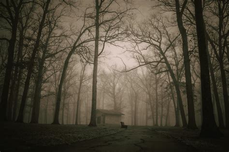 20 Of The Creepiest Unsolved Mysteries Ever…theyll Keep You Up At