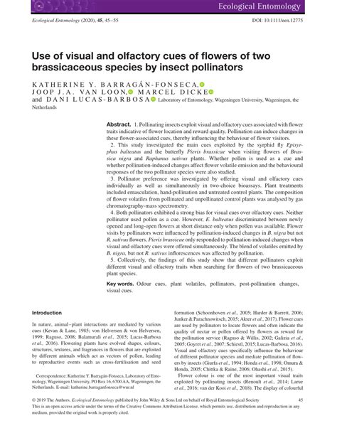 Pdf Use Of Visual And Olfactory Cues Of Flowers Of Two Brassicaceous