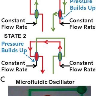 Microfluidic Logic Gates Made By Normally Open Gain Valves A Download Scientific Diagram