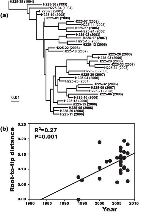 Increase Of Dna Sequence Variation Over The Sampling Time Download