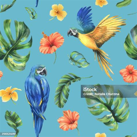 열대 야자수 잎 몬스테라와 플루메리아의 꽃 히비스커스 청황색 잉꼬 앵무새와 밝은 색 손으로 그린 수채화 식물 그림입니다 파란색 배경에 매끄러운 패턴 마코앵무새에 대한 스톡