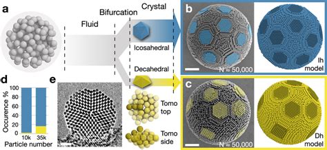 Structure Characterization Of Icosahedral And Decahedral Colloidal Download Scientific Diagram