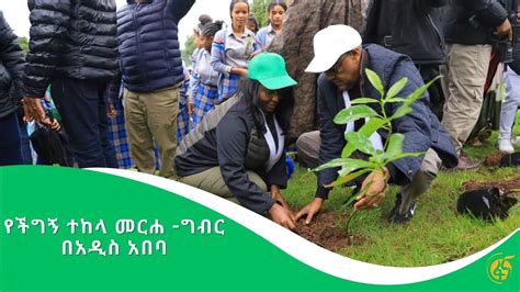 የችግኝ ተከላ መርሐ ግብር በአዲስ አበባ Youtube