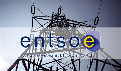Przedstawiciele Pse We Władzach Entso E