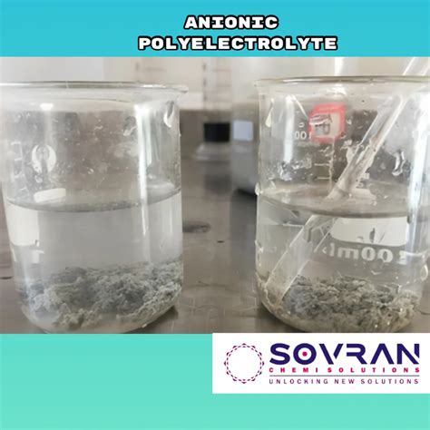 White Anionic Polyelectrolyte Powder Packaging Type Bags Grade