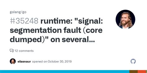 Runtime Signal Segmentation Fault Core Dumped On Several Builders · Issue 35248 · Golang
