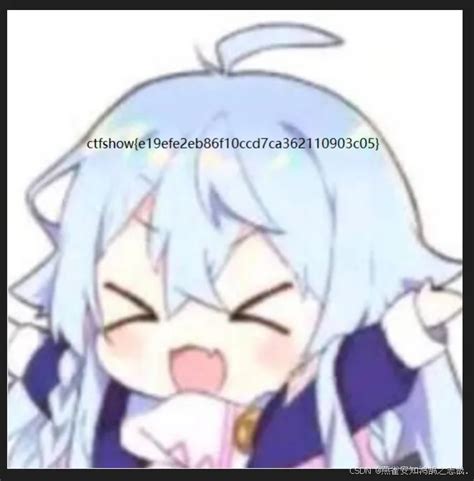 Ctfshow 新手必刷菜狗杯 损坏的压缩包 Csdn博客