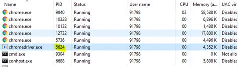 A Trick To See User Interface In Headless Execution Running In Selenium