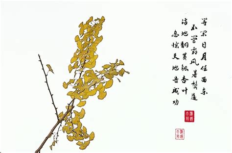 咏银杏七律诗 七绝咏银杏 银杏的诗句七绝 第2页 大山谷图库