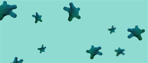 Panel Discussion Transitioning To Patient Derived In Vitro Cell Models