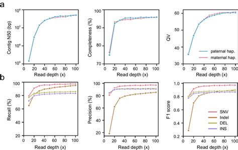 Quality Of Chinese Quartet Assemblies And Accuracy Of Variant Calling
