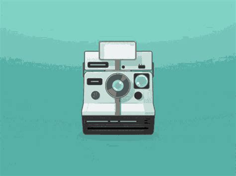 polaroid pic vintage polaroid pic vintage animated discover and share s
