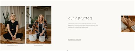 summary block carousel and carousel arrows customize with code squarespace forum