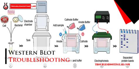 Optoma Projector Troubleshooting Expert Solutions To Fix Technical Issues