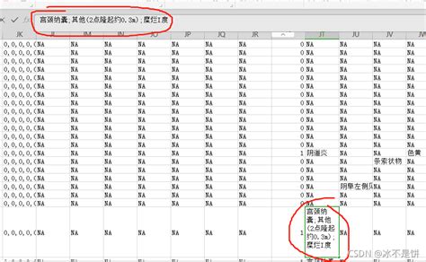 sas导入csv文件某些不完整 sas导入csv文件如何防止截断 csdn博客
