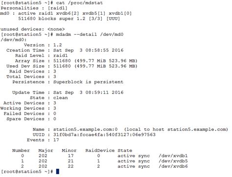 Building Software RAID Magnum Net