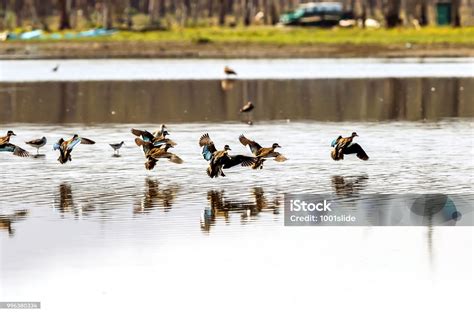 Deceptive Security The Solution For Effective Detection In The Cloud Your Luring Strategy