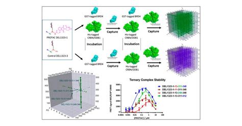 Chuan Liu On Linkedin Optimization Of Protac Ternary Complex Using Dna Encoded Library Approach