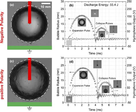 Single Bubble Dynamics A Bubble Image At Maximum Size Recorded