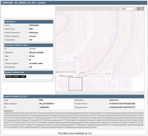 In Situ Hybridization Ish Data For Nhp Atlas Nih Blueprint Non Human Primate Nhp Atlas