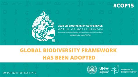 Cop15通过2020后全球生物多样性框架绿会代表团蒙特利尔讯 知乎
