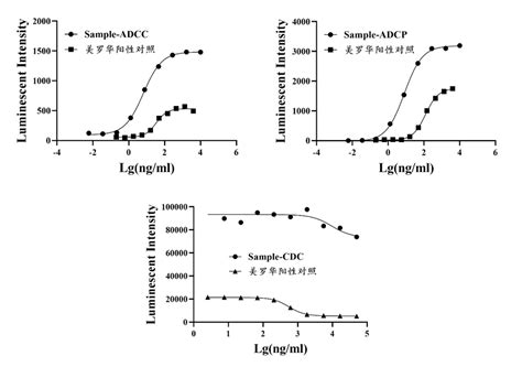 生物活性检测：adcc、adcp与cdc