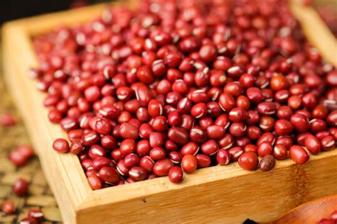 红豆图片素材 红豆设计素材 红豆摄影作品 红豆源文件下载 红豆图片素材下载 红豆背景素材 红豆模板下载 搜索中心