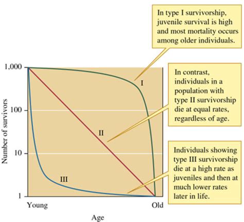 Ecology Exam 3 Population Growth Flashcards Quizlet